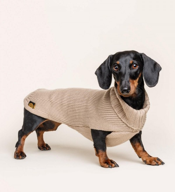 Jersey beige para perro con cuello alto | Recogida en tienda