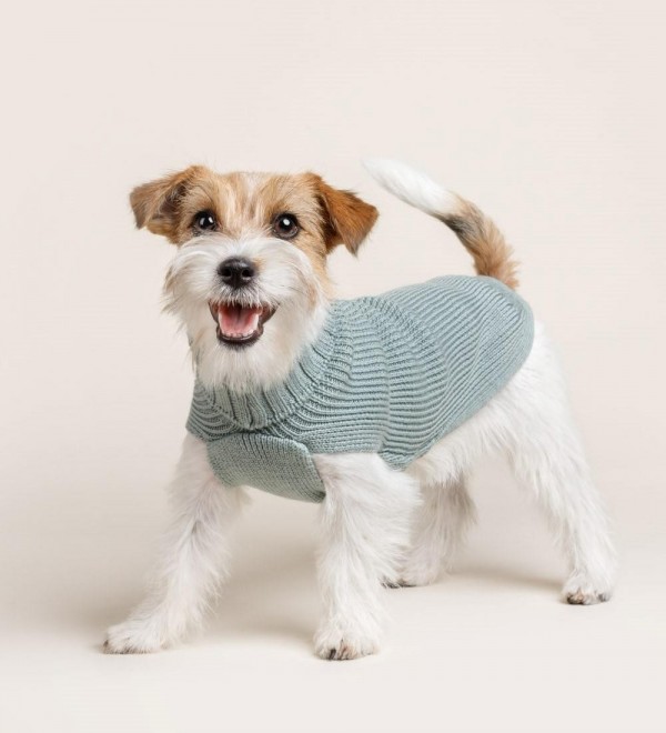 Jersey para perro elástico y muy suave